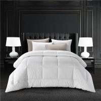China Large Quilt Core for Hotel Bedding Spring and Autumn Grade A Organic Cotton Down for sale
