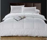 China Large Quilt Core for Hotel Bedding Spring and Autumn Grade A Organic Cotton Down for sale