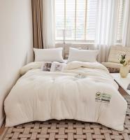China 2024 Class A Customized Color Spring/Summer/Autumn/Winter Quilt for Hotel and Home for sale
