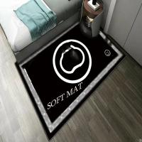 China Anti-slip Water Absorbtion Custom Logo Luxury Mat Beautiful Design Printed Doormat for sale