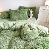 China Double Queen King Solid Color Thickened Warm Mink Velvet 4pcs Set for Autumn Winter for sale