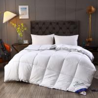 China Hilton Duvet Double Spring Autumn Winter Quilt Core and Hot Style for Micro-Business for sale