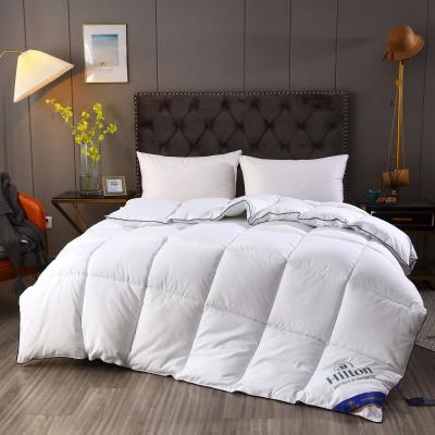 China Hilton Duvet Double Spring Autumn Winter Quilt Core and Hot Style for Micro-Business for sale
