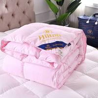China Hilton Duvet Double Spring Autumn Winter Quilt Core and Hot Style for Micro-Business for sale