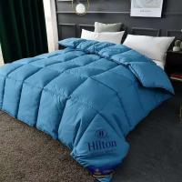 China Hilton Duvet Double Spring Autumn Winter Quilt Core and Hot Style for Micro-Business for sale