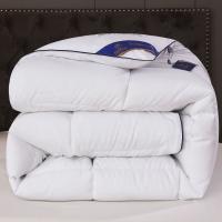 China Hilton Duvet Double Spring Autumn Winter Quilt Core and Hot Style for Micro-Business for sale