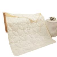 China Summer Comfort Washable Quilt Gentle Cotton Fill for Baby-Soft Feel in Baby Care Room for sale