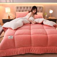 China Knitted Solid Color Oeko-Tex Comforter Edredon Customizable Teenage Twin Bedding Set for sale