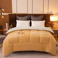 China Knitted Solid Color Oeko-Tex Comforter Edredon Customizable Teenage Twin Bedding Set for sale