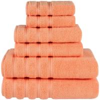 China Child-Proof Luxury Dobby Border 6 Pieces 100% Cotton Towel Set for Bathroom Shower for sale