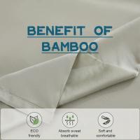 China 4-piece Nondisposable Plain Dyed Bamboo Lyocell Bedding Set with Solid Color Print for sale