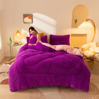 China Winter Warm Velvet Bedding Set Luxury Thicken Comforter Quilt Bed Lamb Fleece Customised Size for sale