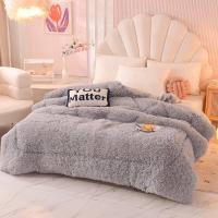 China Home Textile Duvet Quilt Plush Mink Velvet Thickened Warm Lamb Fleece Quilt for Winter for sale