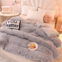 China Home Textile Duvet Quilt Plush Mink Velvet Thickened Warm Lamb Fleece Quilt for Winter for sale