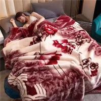 China Superior Double Layer Warm Soft Luxury Print Blanket Skin-friendly Nap Sleeping for sale