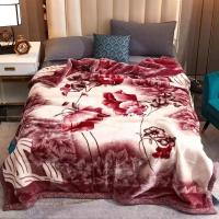 China Superior Double Layer Warm Soft Luxury Print Blanket Skin-friendly Nap Sleeping for sale
