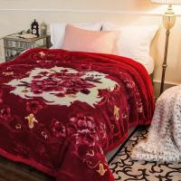 China Superior Double Layer Warm Soft Luxury Print Blanket Skin-friendly Nap Sleeping for sale