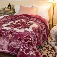 China Superior Double Layer Warm Soft Luxury Print Blanket Skin-friendly Nap Sleeping for sale