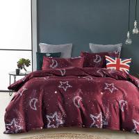China Constellation Printed Duvet Cover Pillowcase Bedding Set with Reactive Printed Dyeing for sale