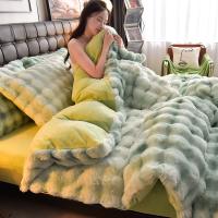 China 2023 Hot Rabbit Hair 4-Piece Set in Rabbit Velvet Milk Velvet for Nondisposable Home for sale