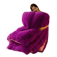 China All-Season Thickened Winter Quilt with Long Hair Mink Velvet and 100% Polyester Warmth for sale