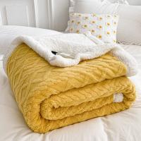China Simple Style Polar Fleece Blanket Double Sided Lamb Cashmere Plaid for Winter Nights for sale