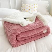 China Simple Style Polar Fleece Blanket Double Sided Lamb Cashmere Plaid for Winter Nights for sale