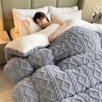 China All-Season Home Textile Duvet Quilt Thickened Warm Taffeta Winter Quilt with Comforter for sale
