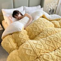 China All-Season Home Textile Duvet Quilt Thickened Warm Taffeta Winter Quilt with Comforter for sale