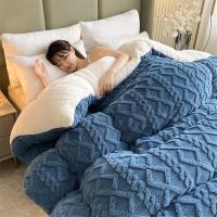 China All-Season Home Textile Duvet Quilt Thickened Warm Taffeta Winter Quilt with Comforter for sale