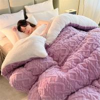 China All-Season Home Textile Duvet Quilt Thickened Warm Taffeta Winter Quilt with Comforter for sale