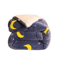 China Customized Size Bedding Set Thickened Warm Lamb Fleece Quilt with 100% Polyester Fabric for sale