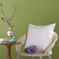 China Custom Logo Accepted Floral Print Bedding Throw for Hotel Indoor Decorative Pillows for sale