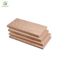 China Eco Friendly Melamine Board Interior Exterior Decoration Use for Building Construction Application Use for sale