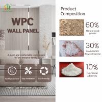 China Waterproof Hollow WPC Wall Panel for Modern Building Exterior Design Application for sale
