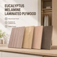 China Packing Container Loading and Delivery for Melamine Faced Plywood Exports for sale