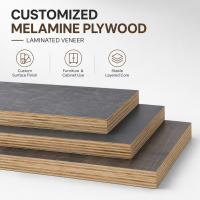 China Melamine Laminated Plywood Clean Cutting Furniture Panel for Cabinet Making Drilling Routing and Edge Banding for sale