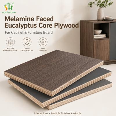 China 18mm Melamine Faced Plywood Eucalyptus Core Furniture Board for Cabinets Wardrobes and Interior Furniture Manufacturing for sale