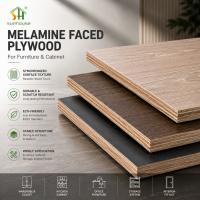China 18mm Melamine Faced Plywood Eucalyptus Poplar Hardwood Core Furniture Board for Cabinets and Wardrobes for sale