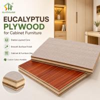 China Melamine Plywood Surface Durability Scratch Resistance and Wear Performance for Furniture Applications for sale