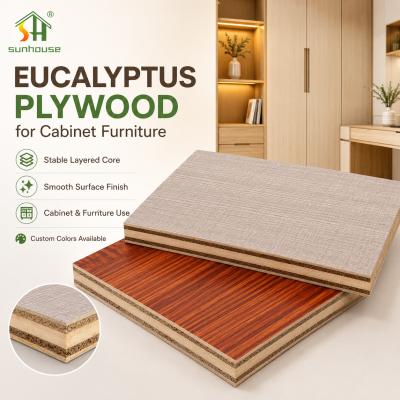 China Melamine Plywood Surface Durability Scratch Resistance and Wear Performance for Furniture Applications for sale