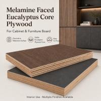 China 18mm Melamine Faced Plywood Strong Bonding Furniture Board for Cabinets Wardrobes and Interior Furniture for sale