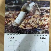 China Custom Wall Calendar Stand Out With Personalization And Durable Spiral Binding for sale