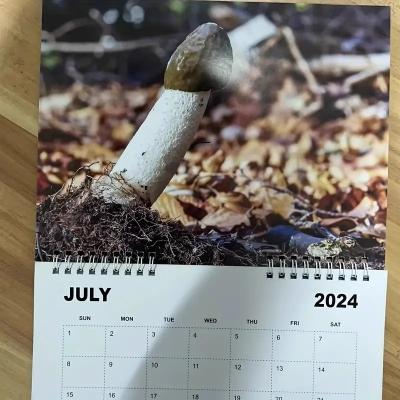 China Custom Wall Calendar Stand Out With Personalization And Durable Spiral Binding for sale