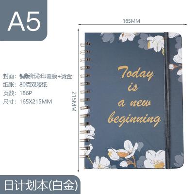 China 100 Pages Custom Journal Notebook with Made-to-Order Spiral Binding for sale