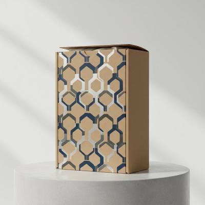 China Retail Product Packaging Box 30x20x10cm Kraft Coating 5kg Capacity Customizable for sale