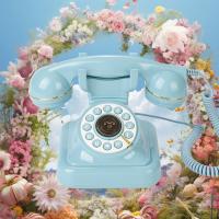 China Personalized Telephone Wedding Guest Book Recording Baby Shower Voice Video Memories 10 Hours for sale
