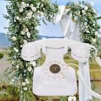 China Clear Sound Telephone Guest Book 32GB Phone Guestbook For Weddings Birthday Celebrations for sale