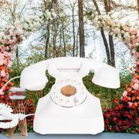 China Plastic Phone Guest Book 32GB Memory Birthdays Record Player Wedding Guest Book for sale