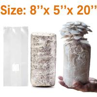 China Mycology Fungus Grow Mycelium Cultivation Growing Mushroom Grain Spawn Bags for sale